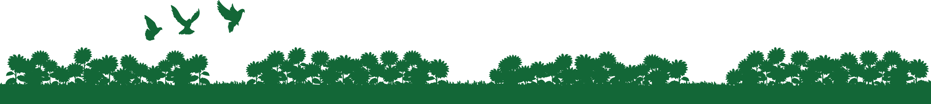 Maps • Arkansas Game & Fish Commission