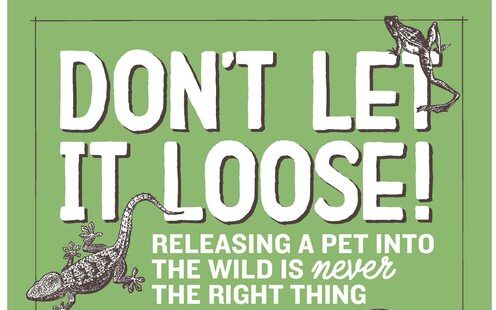 Aquatic Nuisance Species (ANS) • Arkansas Game & Fish Commission