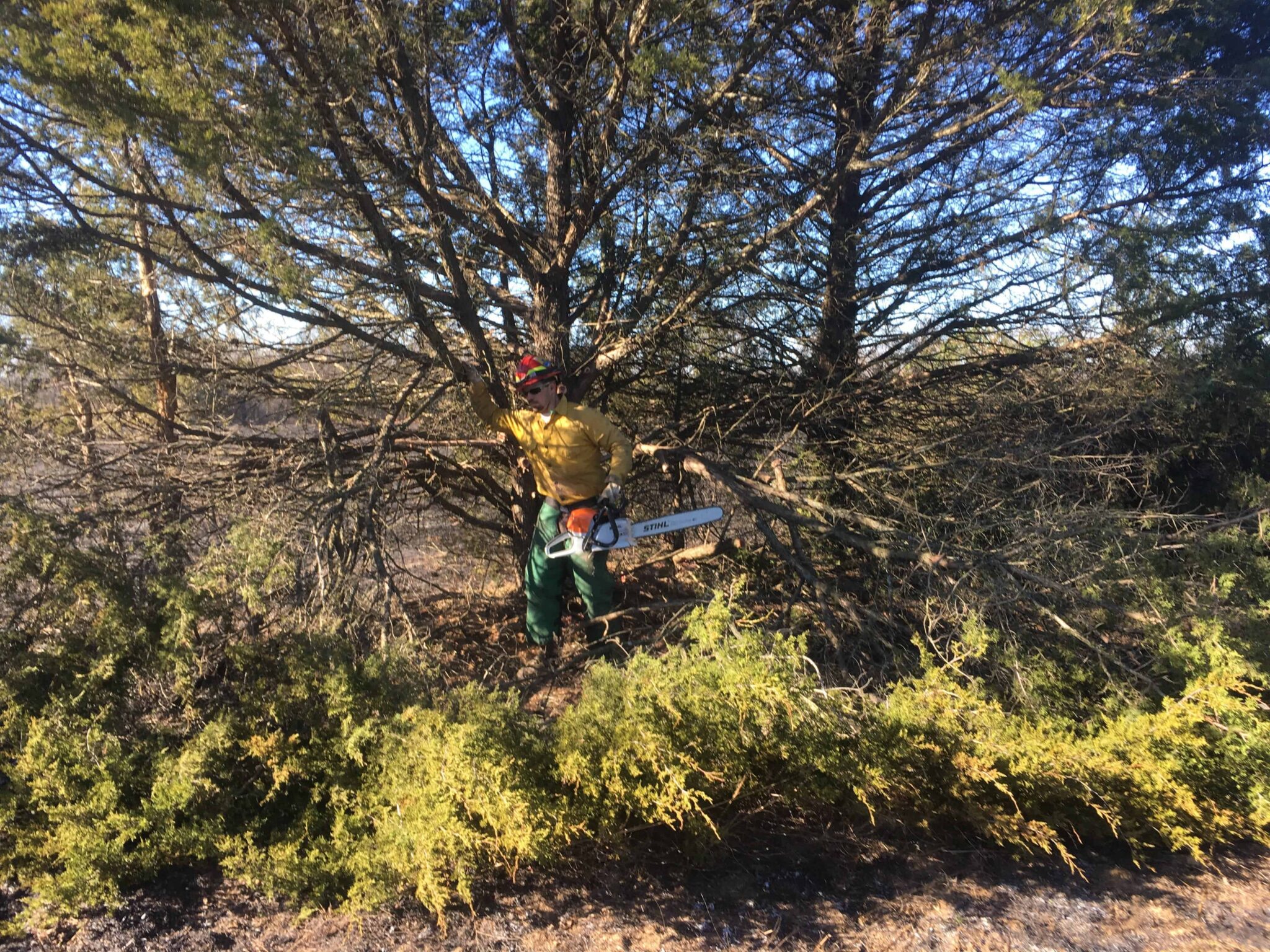 Quail Habitat Calendar • Arkansas Game & Fish Commission