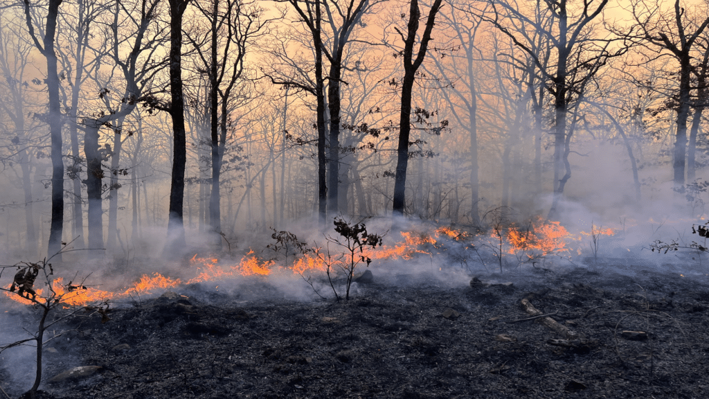 Prescribed Fire • Arkansas Game & Fish Commission