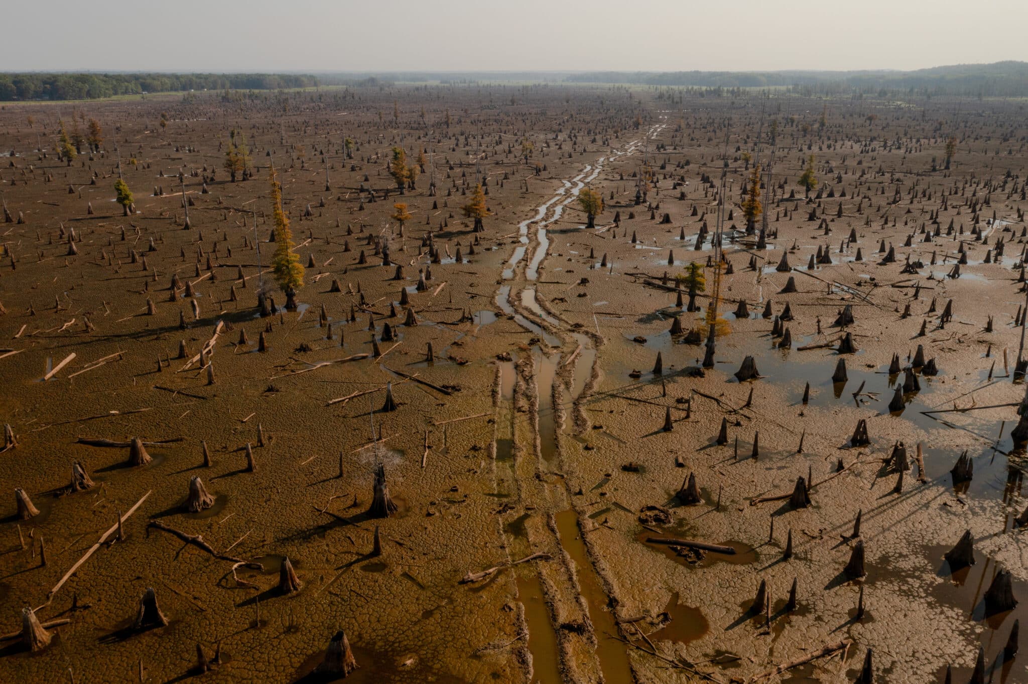 Lake Conway Renovation Project • Arkansas Game & Fish Commission