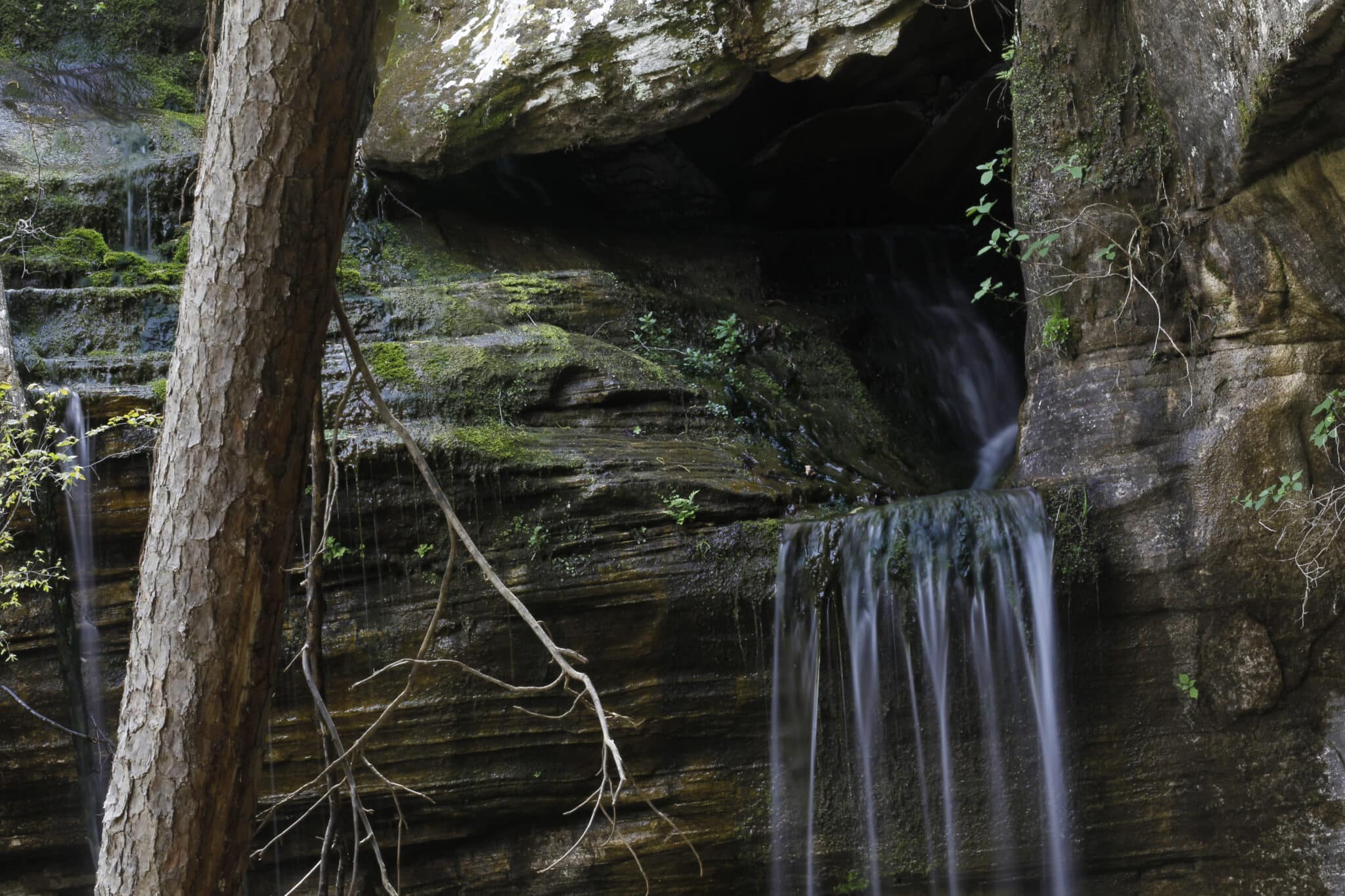 Caves • Arkansas Game & Fish Commission